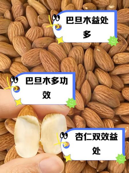 杏仁和巴旦木是一样的吗_区别与营养价值对比-第1张图片-山城妙识