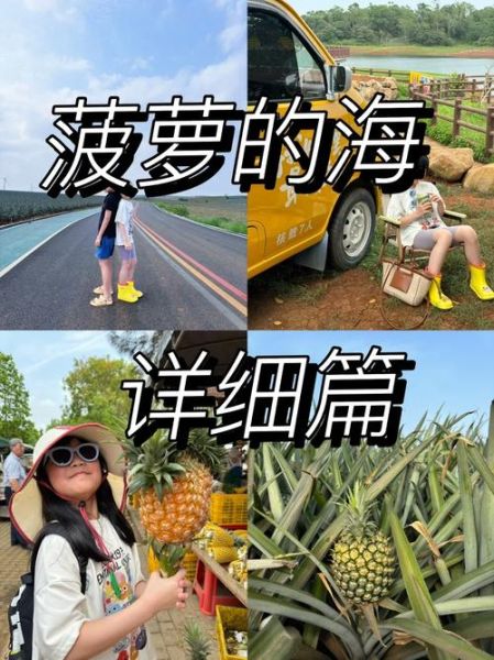 海菠萝的功效与作用_海菠萝怎么吃效果最好-第2张图片-山城妙识