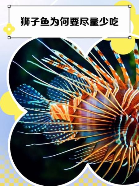 狮子鱼怎么养_狮子鱼有毒吗-第3张图片-山城妙识 狮子鱼怎么养_狮子鱼有毒吗-第3张图片-山城妙识