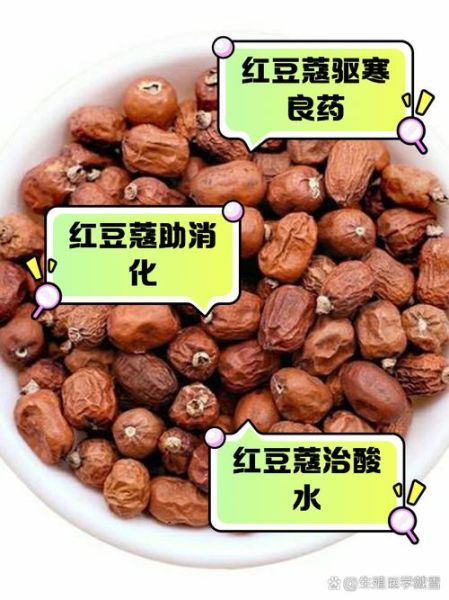 豆蔻的功效与作用_豆蔻怎么吃才正确-第3张图片-山城妙识