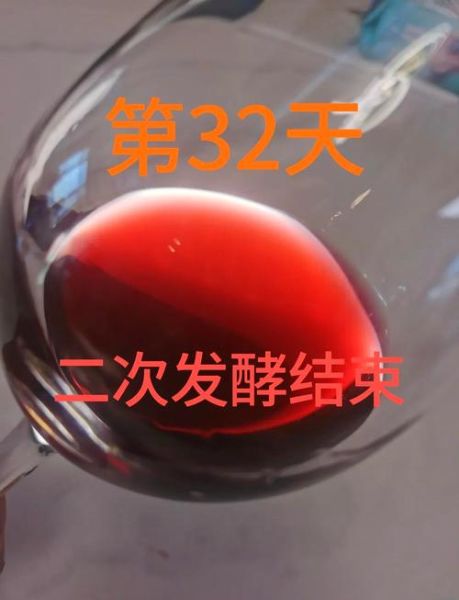 自酿葡萄酒配方比例_家庭自酿葡萄酒比例是多少-第3张图片-山城妙识