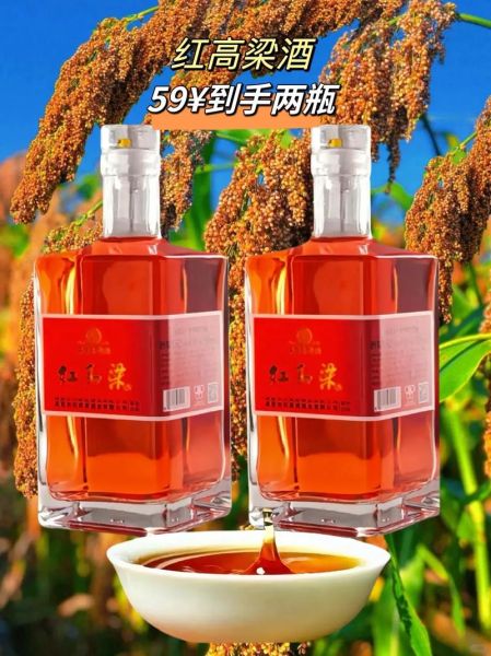红高粱酒加盟代理多少钱_红高粱酒加盟代理流程-第2张图片-山城妙识