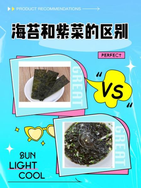 海苔是紫菜吗_紫菜和海苔的区别-第2张图片-山城妙识