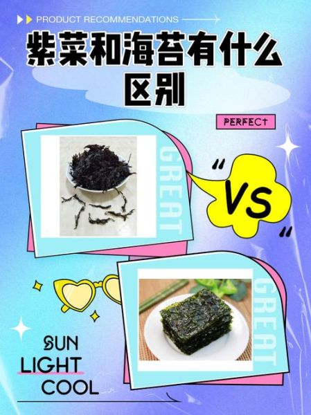 海苔是紫菜吗_紫菜和海苔的区别-第3张图片-山城妙识