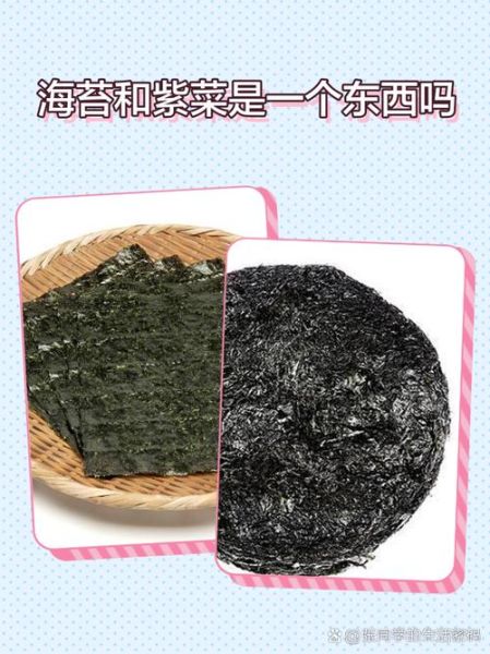 海苔是紫菜吗_紫菜和海苔的区别-第1张图片-山城妙识