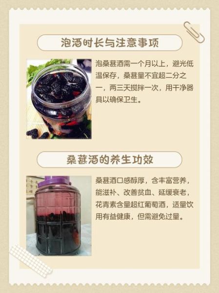 桑葚怎么洗干净泡酒_桑葚泡酒前要不要晾干-第2张图片-山城妙识