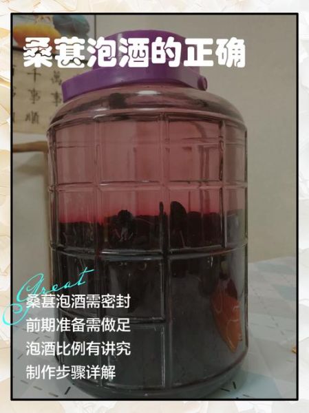 桑葚怎么洗干净泡酒_桑葚泡酒前要不要晾干-第1张图片-山城妙识