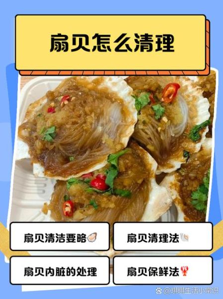 扇贝怎么打开_扇贝打开后怎么处理-第1张图片-山城妙识