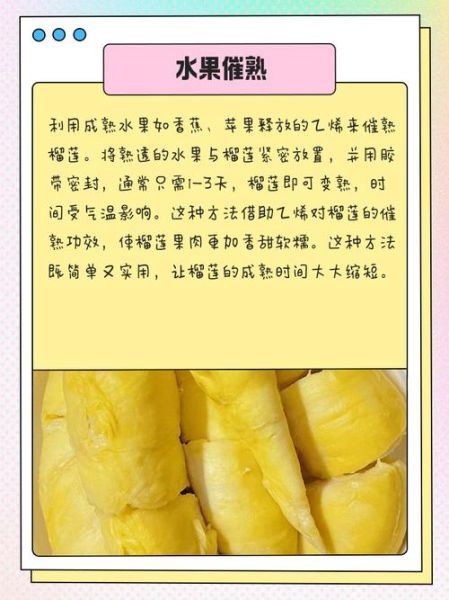 榴莲催熟需要几天_榴莲怎么判断熟没熟-第3张图片-山城妙识 榴莲催熟需要几天_榴莲怎么判断熟没熟-第3张图片-山城妙识
