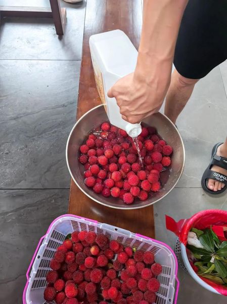 杨梅酒怎么做_杨梅酒制作视频详细步骤-第2张图片-山城妙识