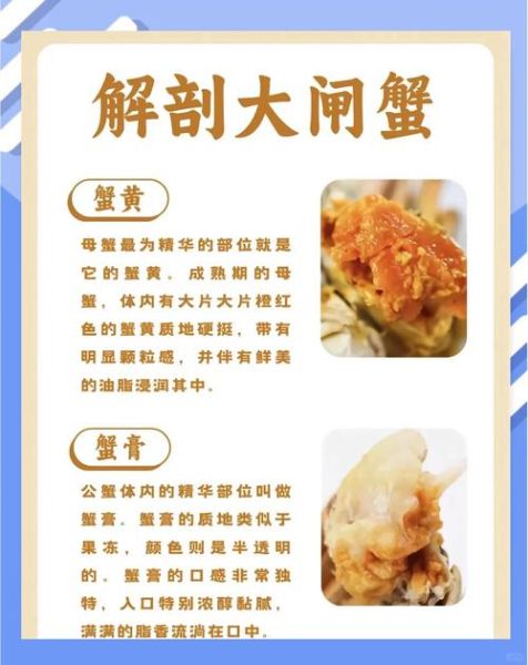 蟹膏是什么_蟹膏和蟹黄的区别-第2张图片-山城妙识