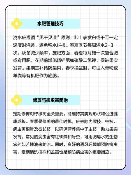 柠檬树盆栽怎么养_柠檬树盆栽多久结果-第3张图片-山城妙识 柠檬树盆栽怎么养_柠檬树盆栽多久结果-第3张图片-山城妙识