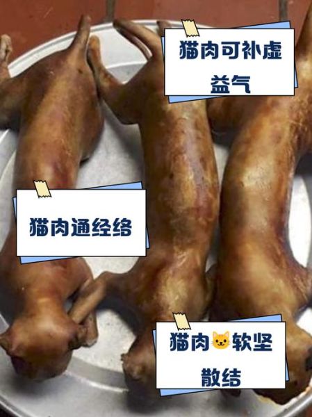 吃猫肉犯法吗_吃猫肉违法吗-第1张图片-山城妙识