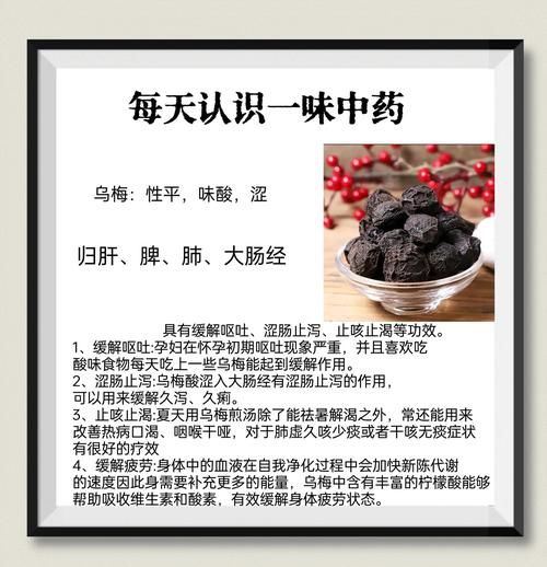大乌梅的功效与作用_大乌梅怎么吃最好-第3张图片-山城妙识