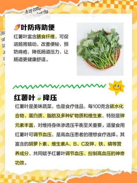 红薯叶子的功效与作用_红薯叶子怎么吃最营养-第1张图片-山城妙识