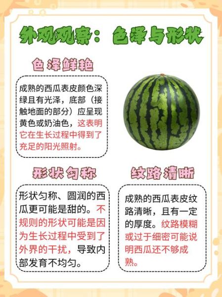 西瓜怎么吃最解暑_西瓜的十五种吃法有哪些-第3张图片-山城妙识 西瓜怎么吃最解暑_西瓜的十五种吃法有哪些-第3张图片-山城妙识