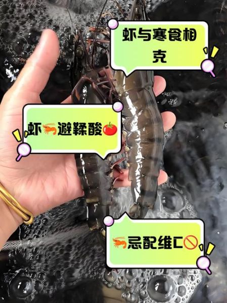 虾和什么食物相克不能吃_虾不能和什么一起吃-第3张图片-山城妙识 虾和什么食物相克不能吃_虾不能和什么一起吃-第3张图片-山城妙识