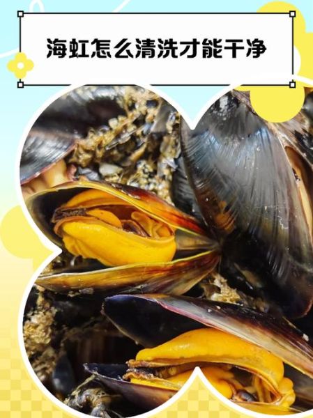 海虹图片怎么吃法_海虹怎么清洗图解-第1张图片-山城妙识 海虹图片怎么吃法_海虹怎么清洗图解-第1张图片-山城妙识