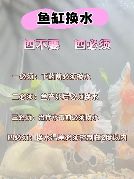 水鱼要怎么养_水鱼饲养注意事项-第3张图片-山城妙识