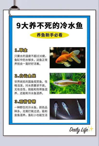 水鱼要怎么养_水鱼饲养注意事项-第1张图片-山城妙识