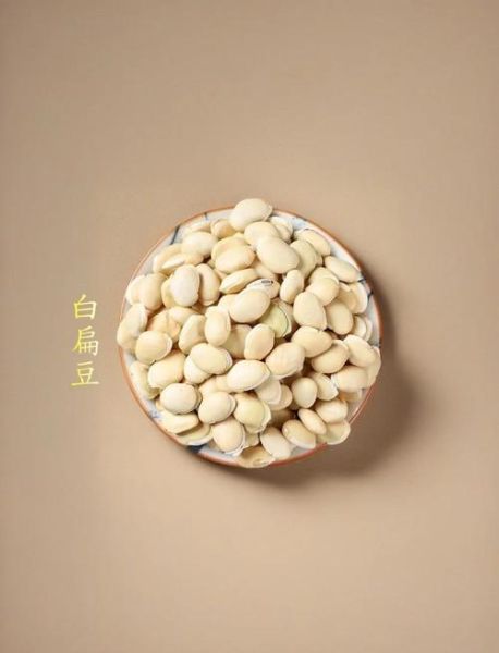 干的白扁豆怎么吃_干的白扁豆做法大全-第1张图片-山城妙识