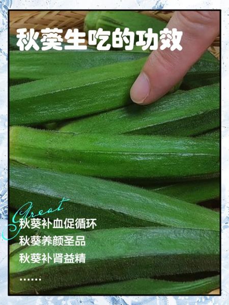 生吃秋葵的功效与作用_秋葵可以生吃吗-第1张图片-山城妙识 生吃秋葵的功效与作用_秋葵可以生吃吗-第1张图片-山城妙识