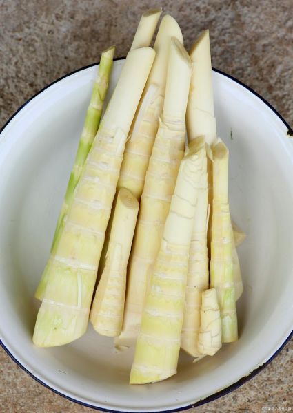 新鲜冬笋需要焯水吗_冬笋焯水正确方法-第2张图片-山城妙识