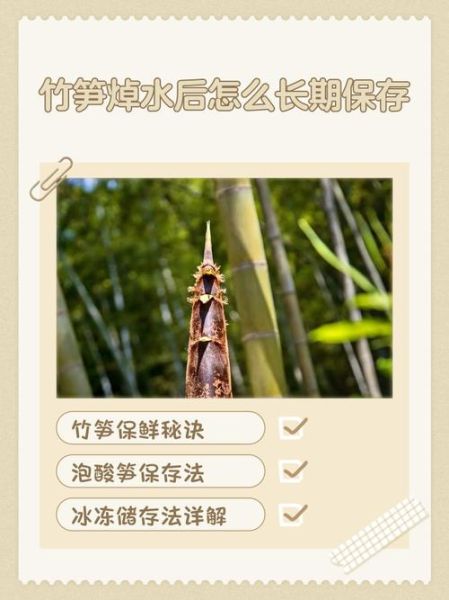 新鲜冬笋需要焯水吗_冬笋焯水正确方法-第3张图片-山城妙识