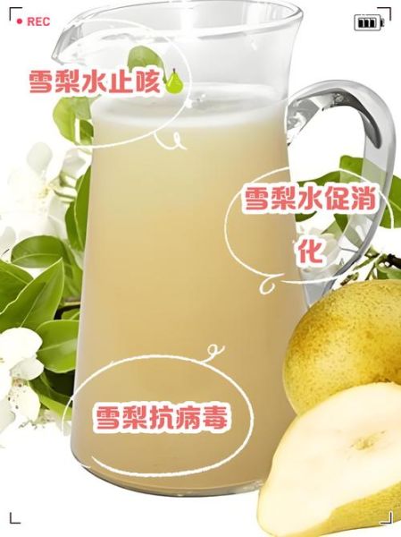 煮梨水用哪种梨最好_雪梨和鸭梨哪个更适合-第2张图片-山城妙识