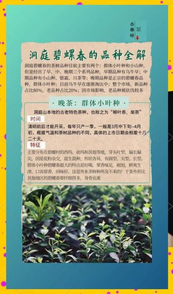 碧螺春产地在哪里_碧螺春为什么叫洞庭碧螺春-第2张图片-山城妙识