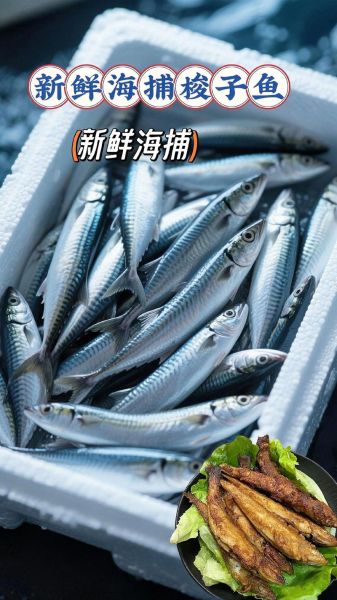 清蒸梭鱼怎么做好吃_清蒸梭鱼蒸几分钟才鲜嫩-第3张图片-山城妙识