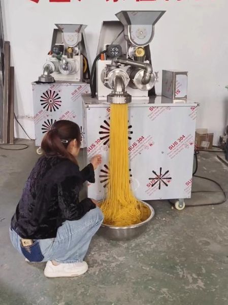 玉米面条机哪个牌子好_家用玉米面条机选购指南-第3张图片-山城妙识