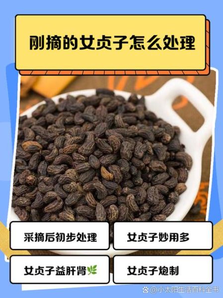女贞子怎么处理过才能用_女贞子炮制方法-第1张图片-山城妙识