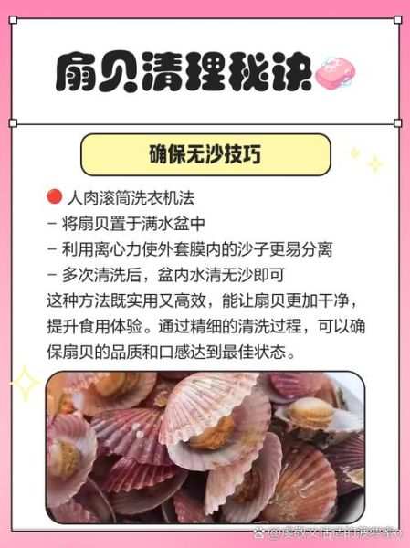 扇贝怎么清洗_扇贝内脏清理方法-第1张图片-山城妙识 扇贝怎么清洗_扇贝内脏清理方法-第1张图片-山城妙识