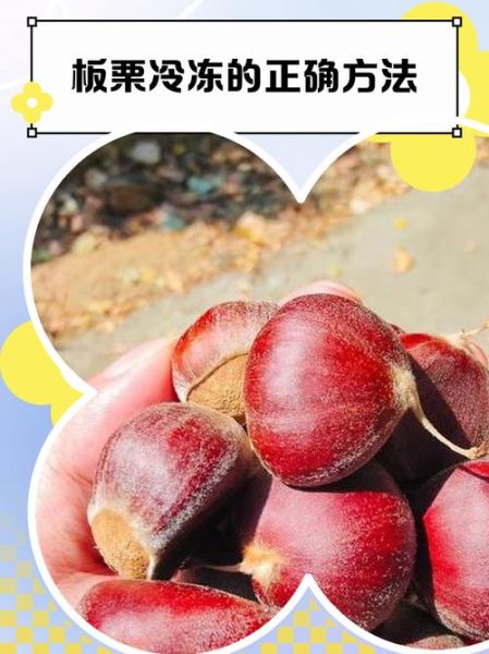 新鲜板栗怎么长期保存_板栗放冰箱能保存多久-第2张图片-山城妙识 新鲜板栗怎么长期保存_板栗放冰箱能保存多久-第2张图片-山城妙识
