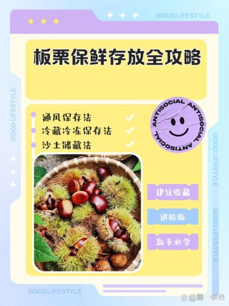 新鲜板栗怎么长期保存_板栗放冰箱能保存多久-第1张图片-山城妙识 新鲜板栗怎么长期保存_板栗放冰箱能保存多久-第1张图片-山城妙识