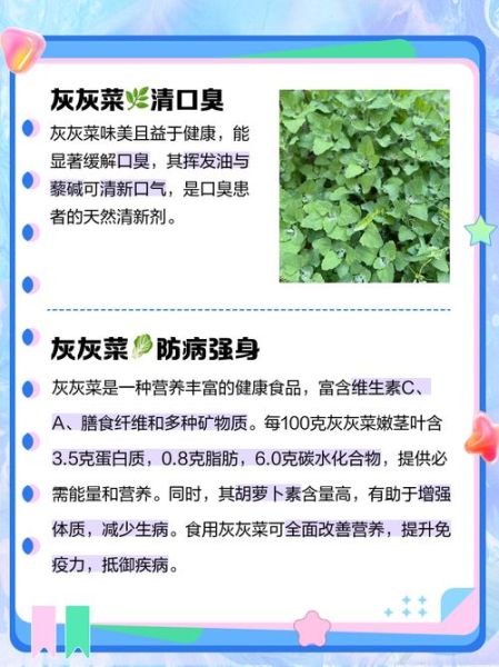 吃灰灰菜有什么好处_灰灰菜的功效与作用-第1张图片-山城妙识