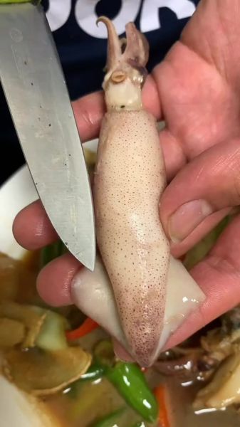 籽乌怎么清洗图解_籽乌清洗内脏步骤-第1张图片-山城妙识