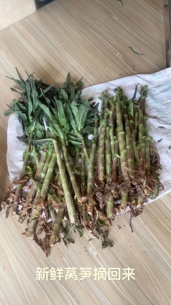 爽口小凉菜怎么做_爽口小凉菜配方大全-第3张图片-山城妙识 爽口小凉菜怎么做_爽口小凉菜配方大全-第3张图片-山城妙识