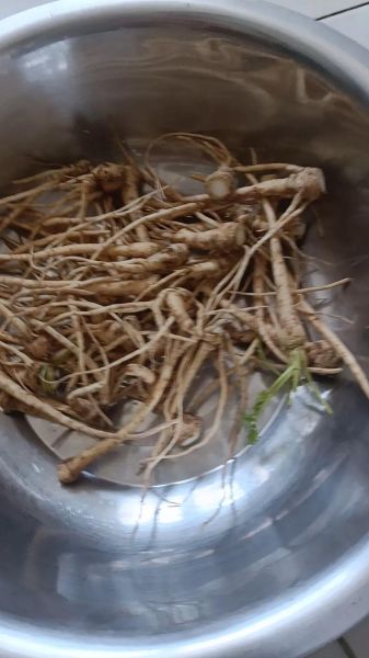 芹菜根怎么做好吃_芹菜根的做法大全集-第1张图片-山城妙识