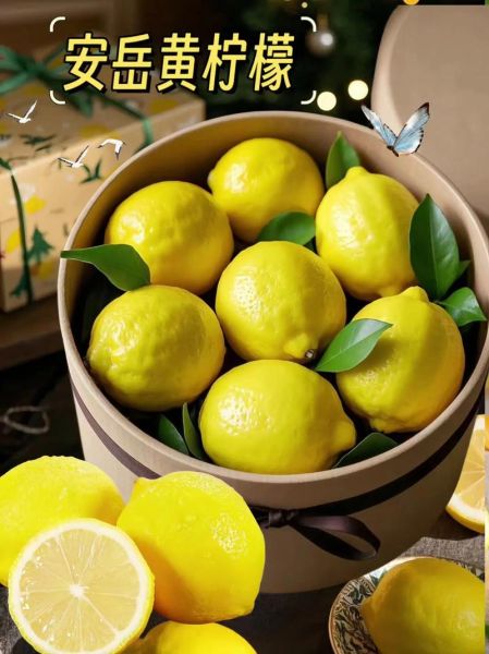 新鲜柠檬怎么吃_新鲜柠檬的吃法大全-第3张图片-山城妙识 新鲜柠檬怎么吃_新鲜柠檬的吃法大全-第3张图片-山城妙识