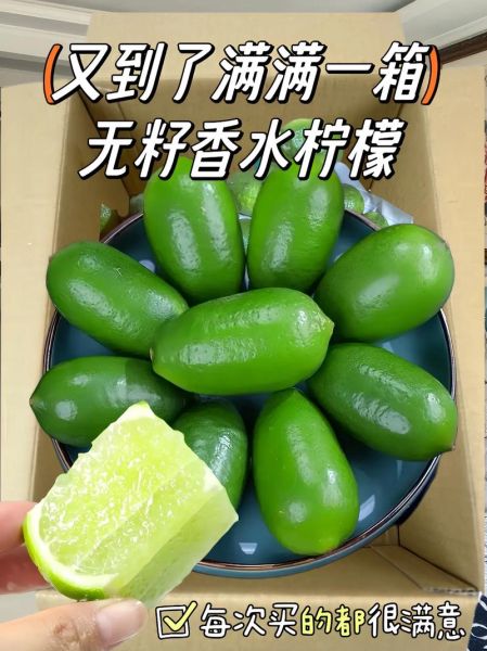 新鲜柠檬怎么吃_新鲜柠檬的吃法大全-第2张图片-山城妙识 新鲜柠檬怎么吃_新鲜柠檬的吃法大全-第2张图片-山城妙识