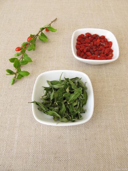 枸杞叶茶的功效与作用_枸杞叶茶可以天天喝吗-第3张图片-山城妙识 枸杞叶茶的功效与作用_枸杞叶茶可以天天喝吗-第3张图片-山城妙识