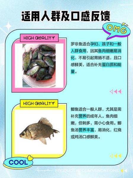 罗非鱼和鲫鱼哪个好吃_口感营养大比拼-第1张图片-山城妙识 罗非鱼和鲫鱼哪个好吃_口感营养大比拼-第1张图片-山城妙识