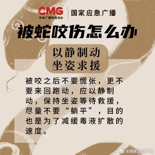 玉米蛇咬人有多疼_被咬后怎么处理-第1张图片-山城妙识