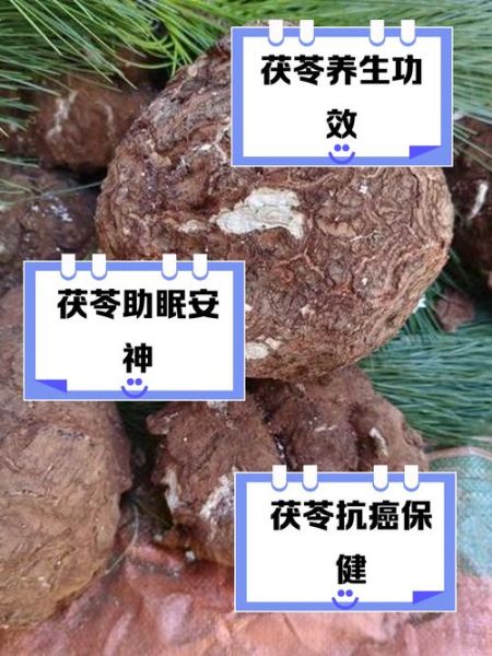 茯苓块的功效与作用_茯苓块主治哪些疾病-第3张图片-山城妙识 茯苓块的功效与作用_茯苓块主治哪些疾病-第3张图片-山城妙识