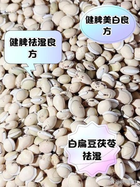 白扁豆长什么样_白扁豆和黄豆的区别-第2张图片-山城妙识