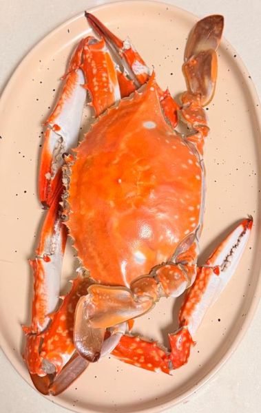 螃蟹图片大全高清_如何拍摄螃蟹特写-第1张图片-山城妙识