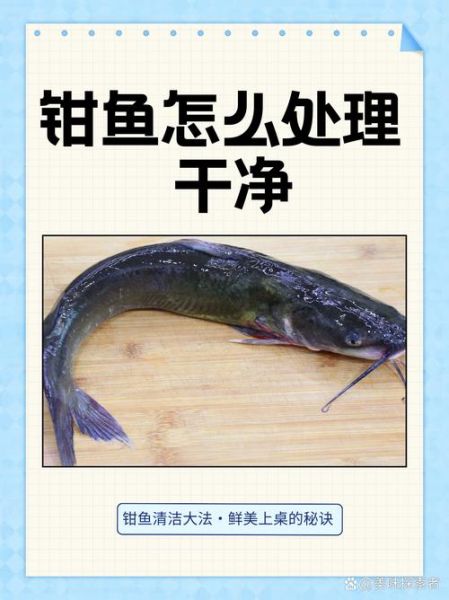 钳鱼清蒸怎么做_清蒸钳鱼去腥技巧-第2张图片-山城妙识