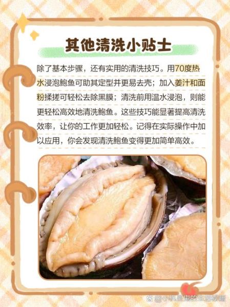 小鲍鱼怎么清洗_小鲍鱼清洗窍门-第2张图片-山城妙识 小鲍鱼怎么清洗_小鲍鱼清洗窍门-第2张图片-山城妙识